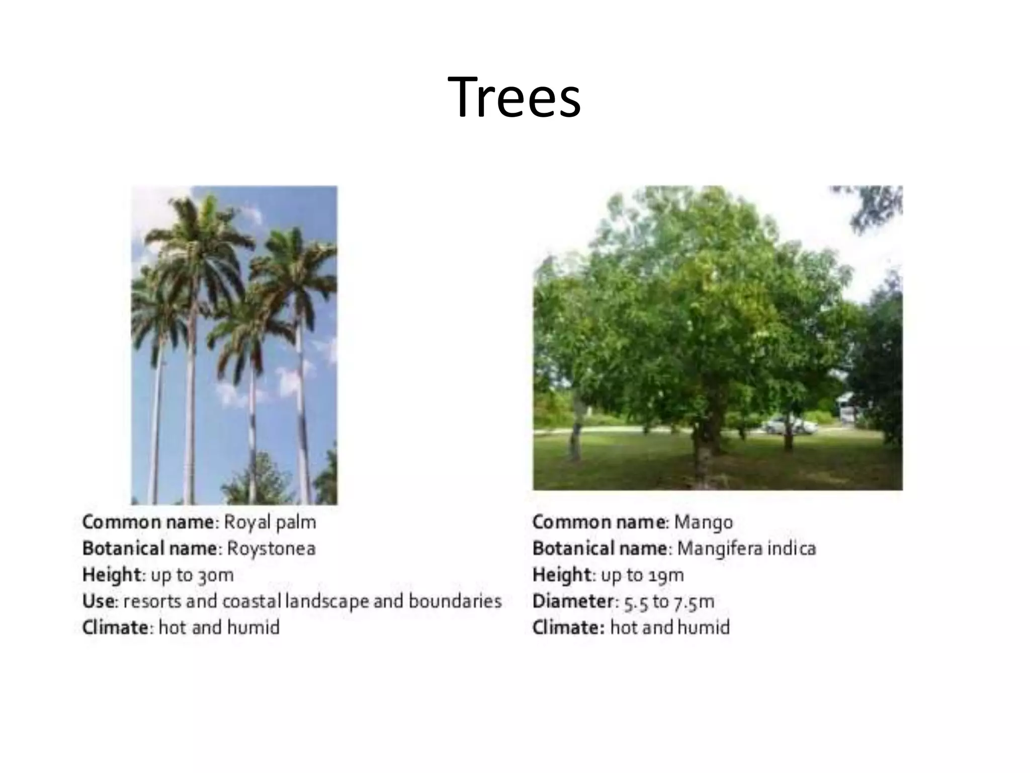 Land scape and its types | PPTX