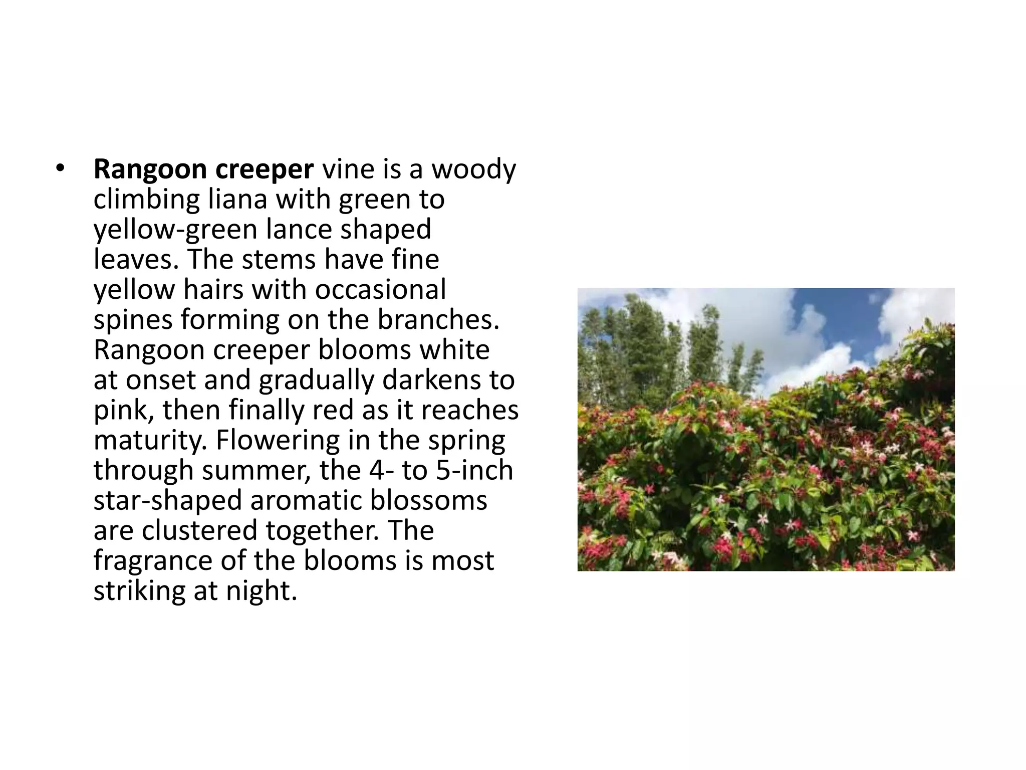 Land scape and its types | PPTX