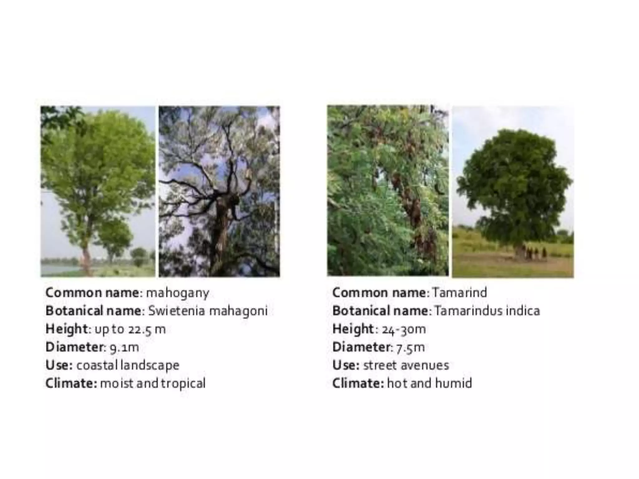Land scape and its types | PPTX