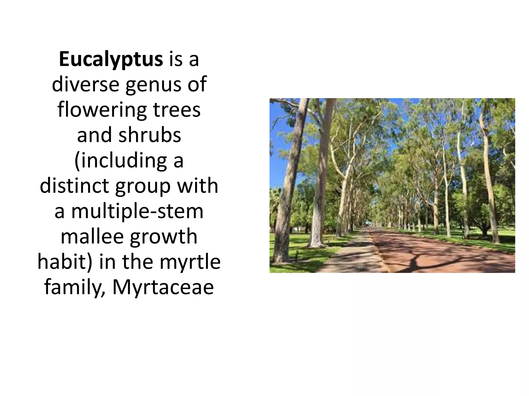 Land scape and its types | PPTX