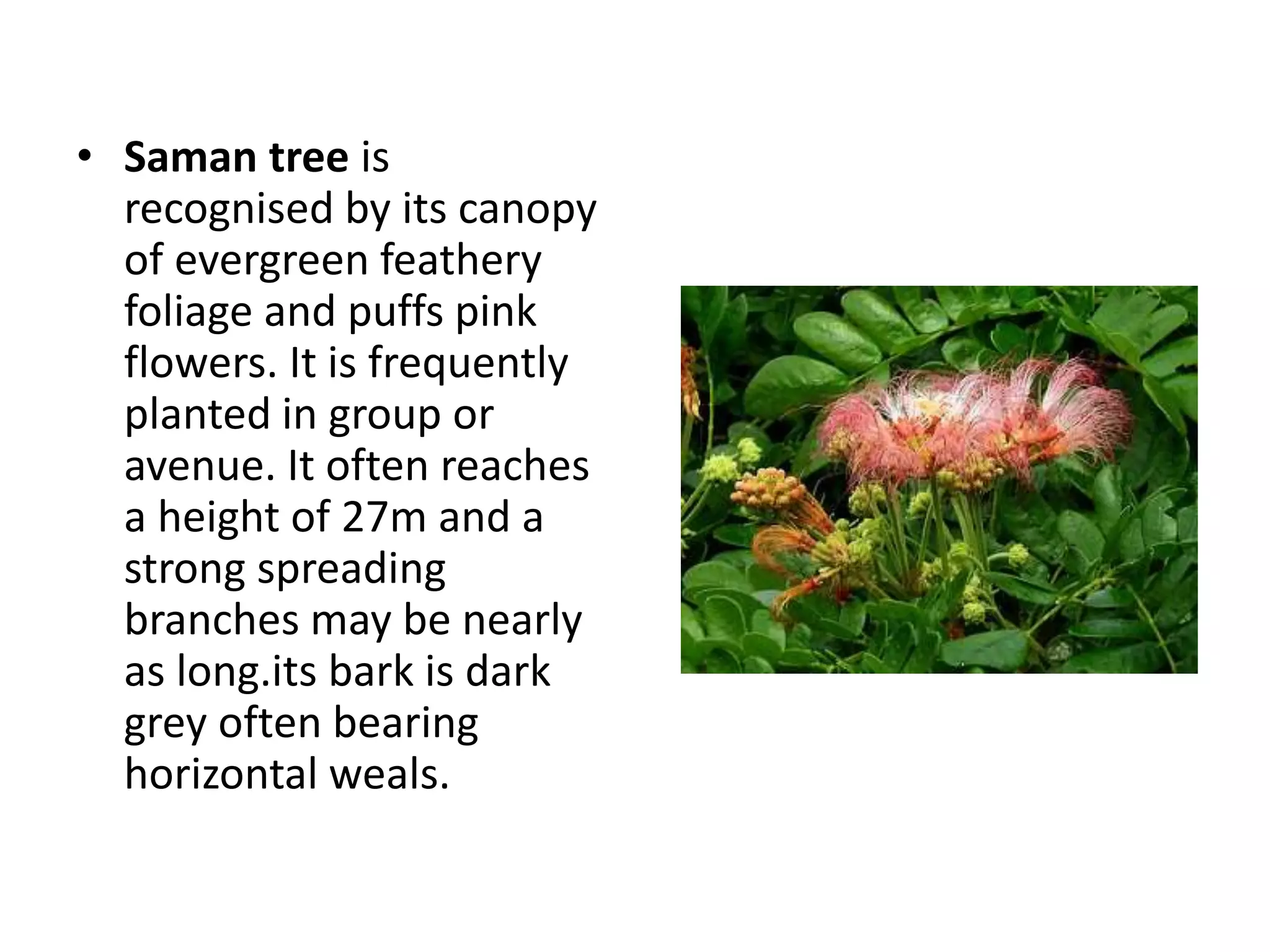 Land scape and its types | PPTX