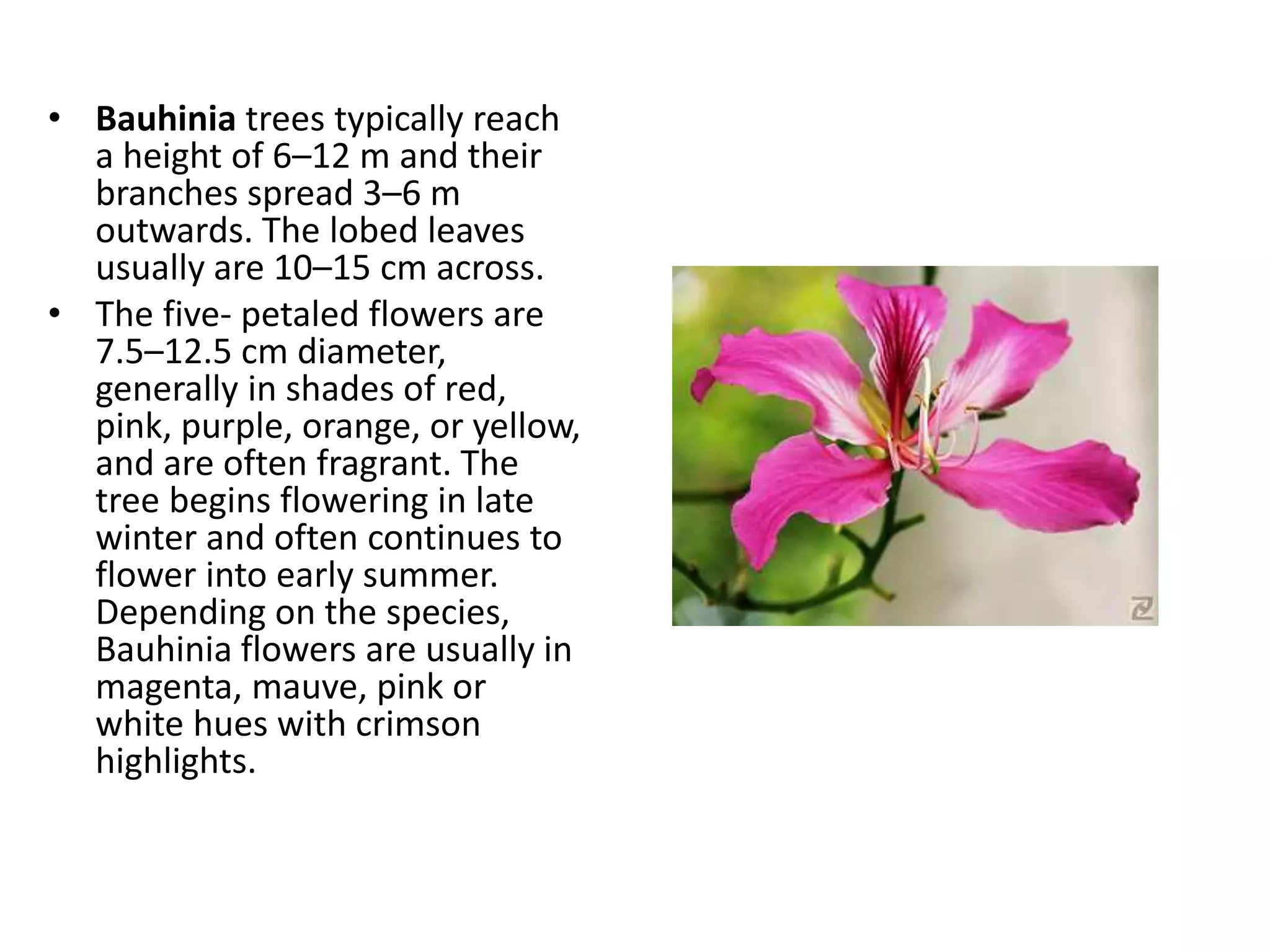 Land scape and its types | PPTX