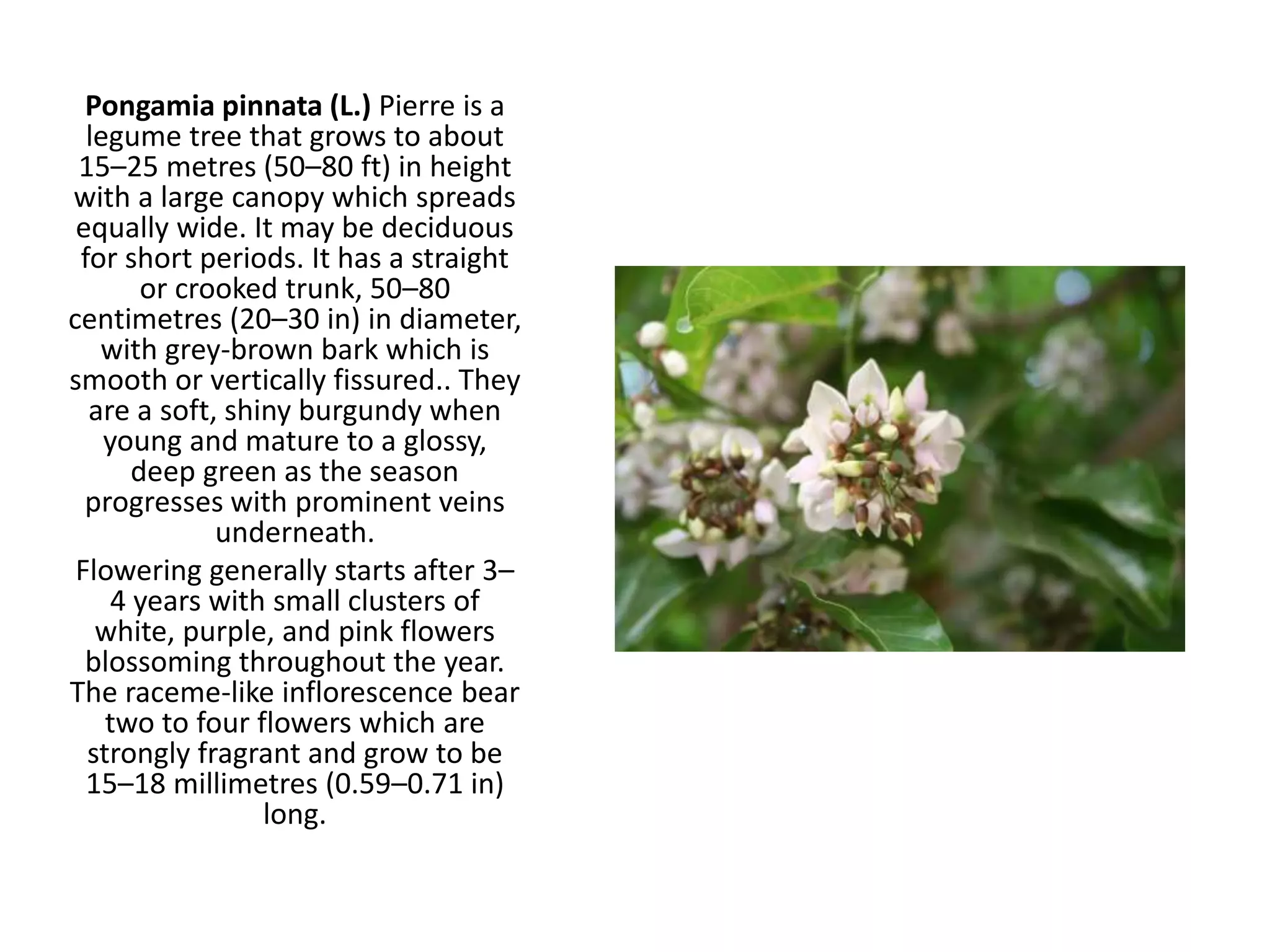 Land scape and its types | PPTX
