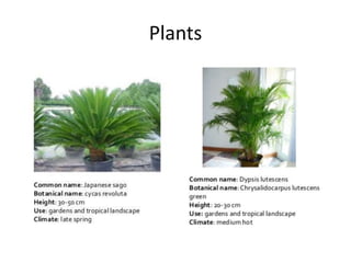 Land scape and its types | PPTX