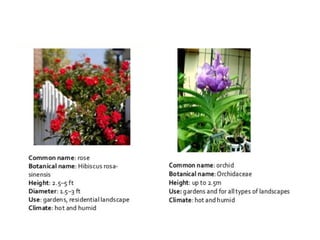 Land scape and its types | PPTX