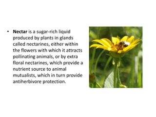 Land scape and its types | PPTX