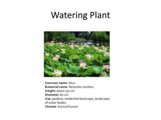 Land scape and its types | PPTX