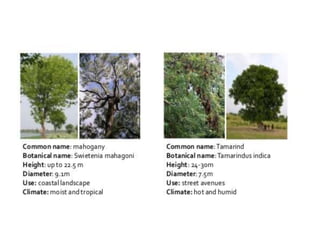 Land scape and its types | PPTX