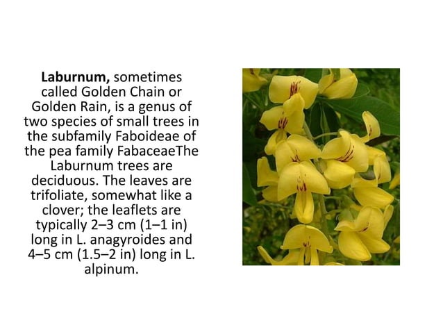 Land scape and its types | PPTX