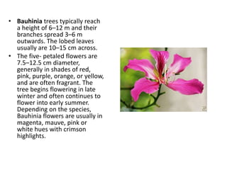 Land scape and its types | PPTX