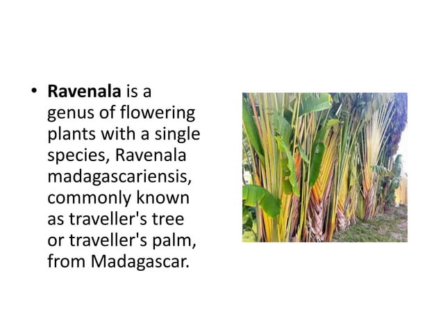 Land scape and its types | PPTX