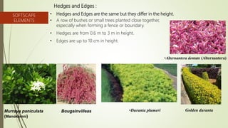 Landscape... a brief introduction | PPTX | Gardening | Home & Garden