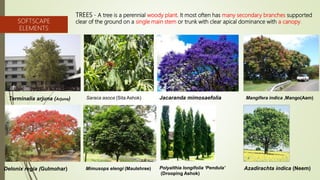 Landscape... a brief introduction | PPTX | Gardening | Home & Garden