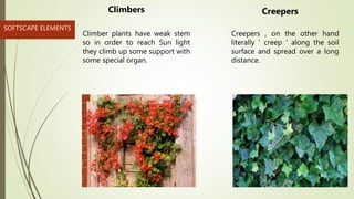 Landscape... a brief introduction | PPTX | Gardening | Home & Garden