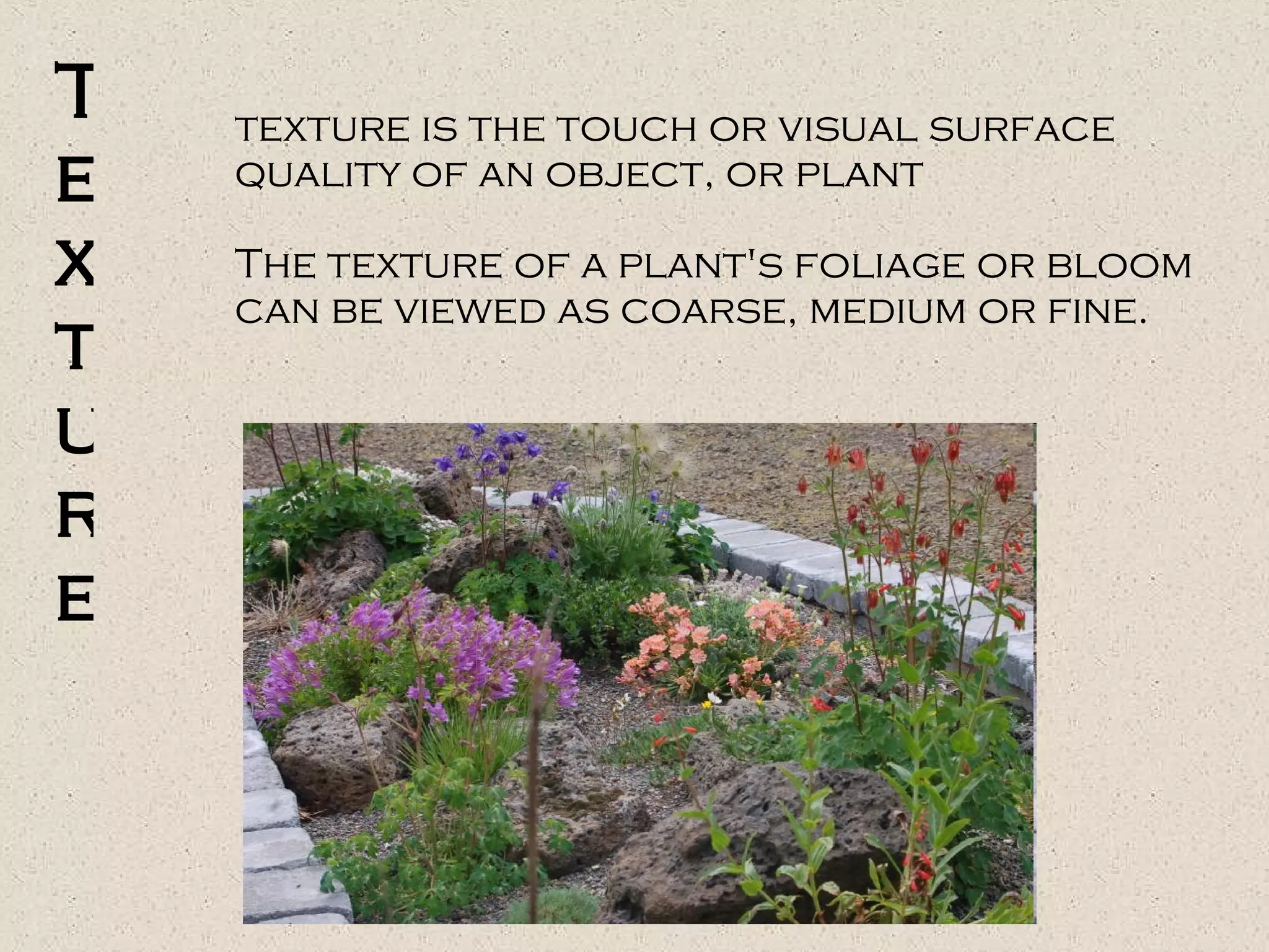 Landscape Design and Principles | PPT