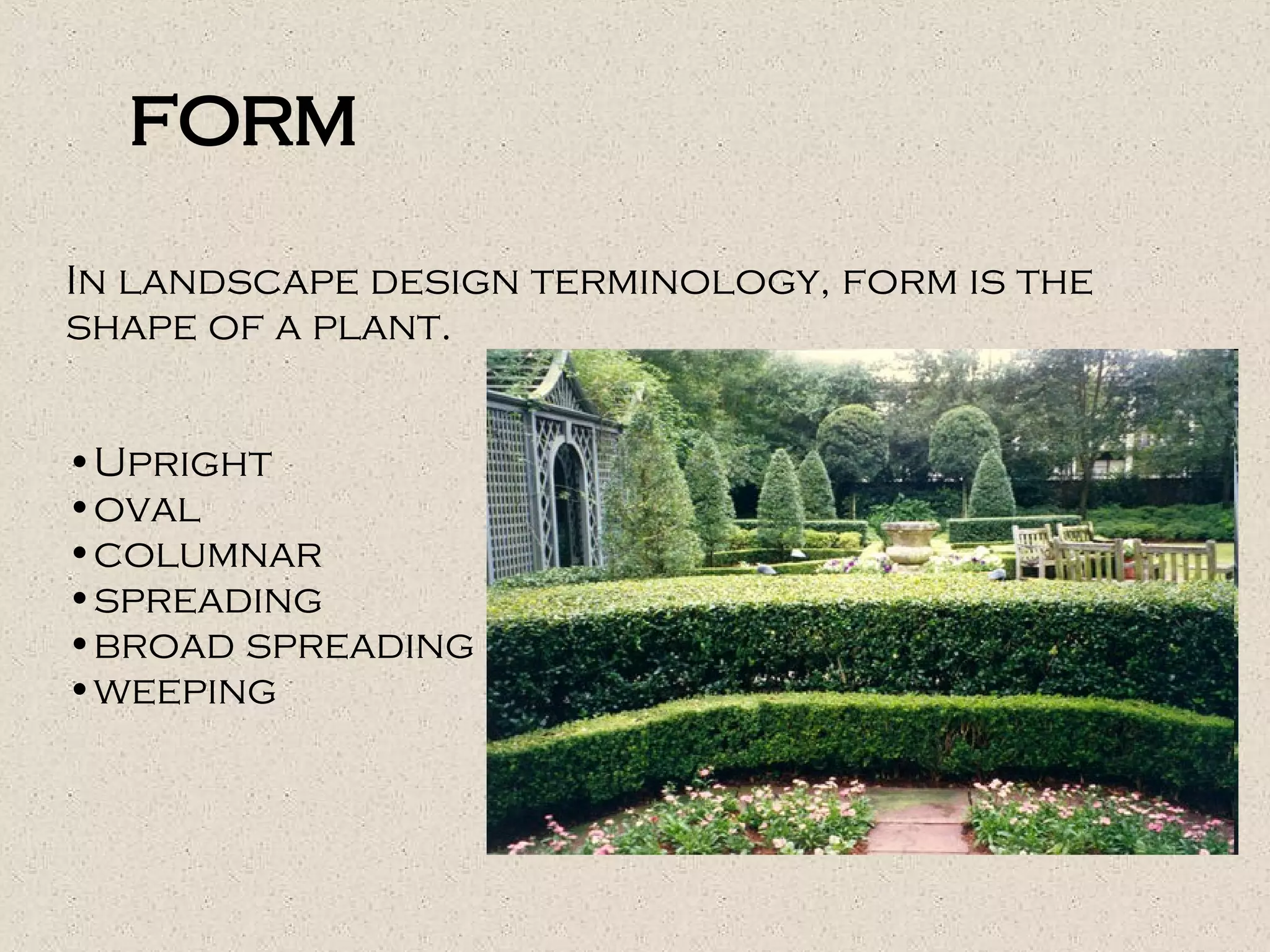 Landscape Design and Principles | PPT