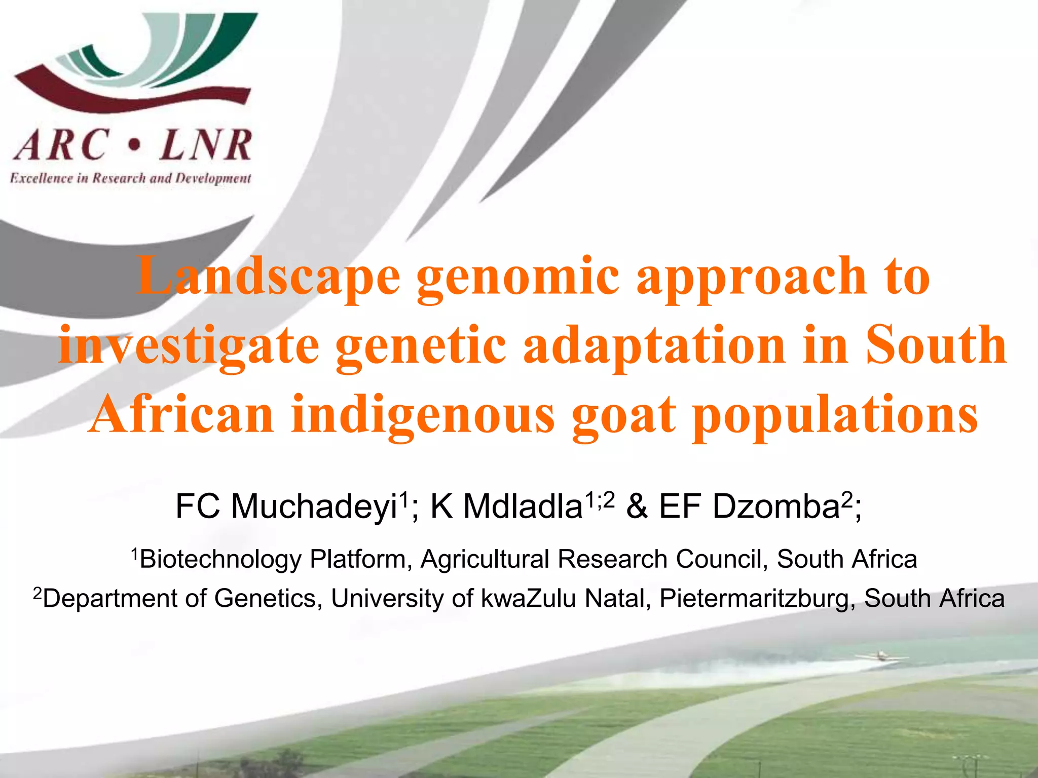 A landscape genomics approach in unravelling adaptive genetic diversity ...