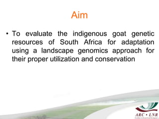 A landscape genomics approach in unravelling adaptive genetic diversity ...