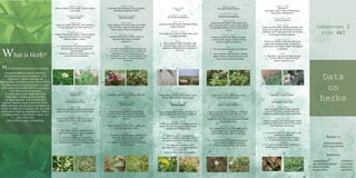Shrubs and Herbs | PPTX