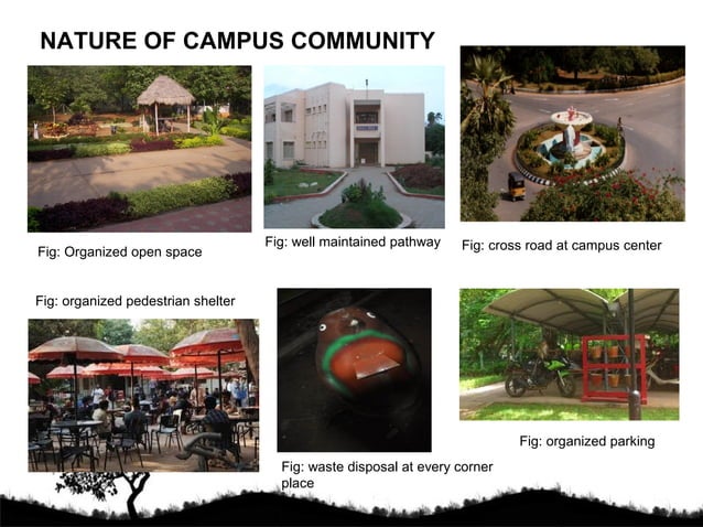 Landscape and design elements in an institutional campus. | PPT