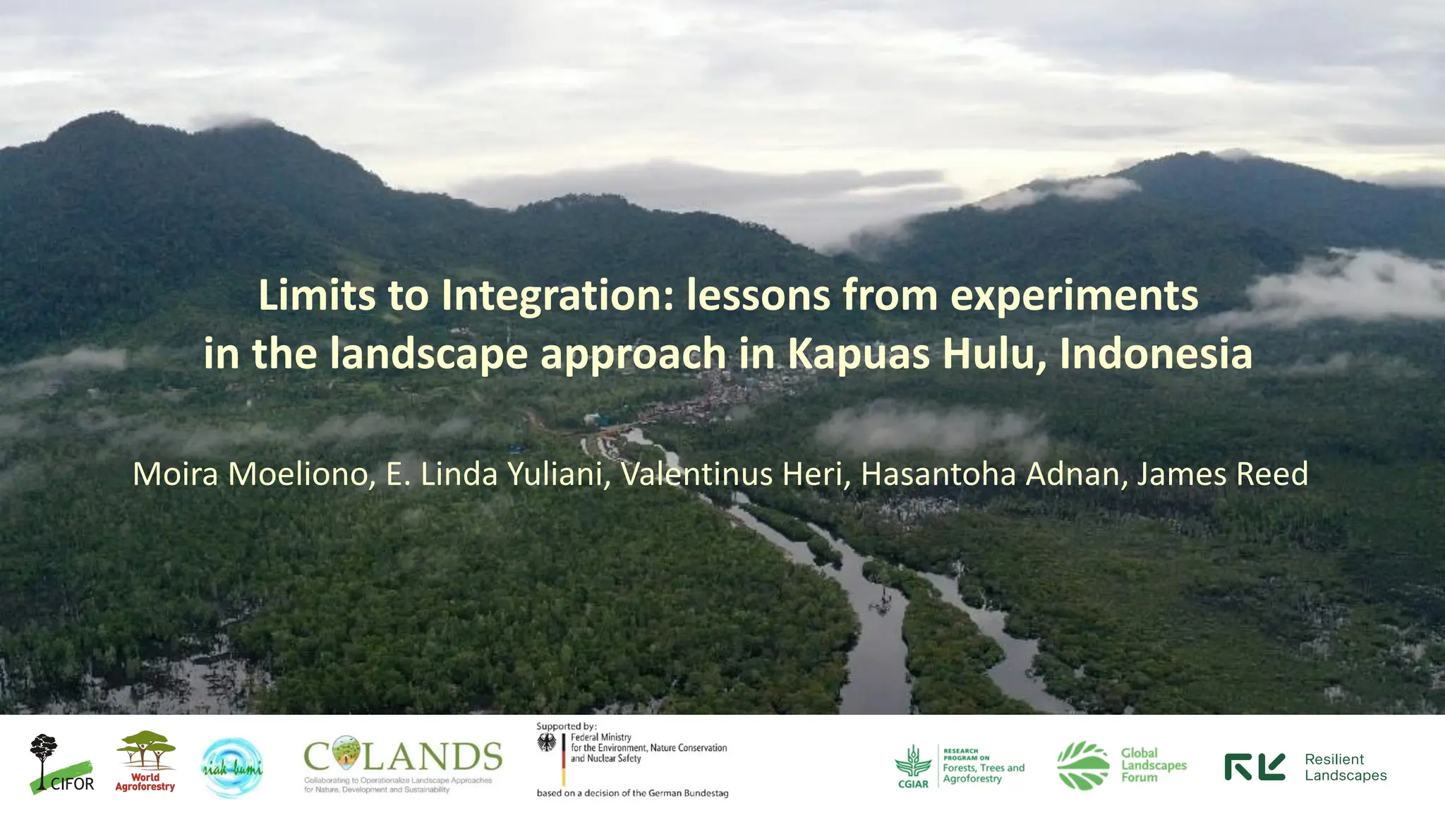 Limits to Integration: lessons from experiments in the landscape ...