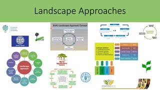 Integrated Landscape Approaches: A systematic map of the evidence | PPT