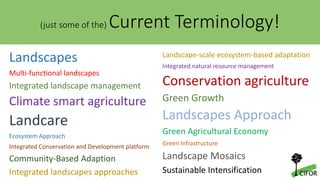 Integrated Landscape Approaches: A systematic map of the evidence | PPT
