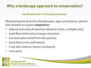 Landscape Approaches to Agrobiodiversity Conservation and Use | PPTX