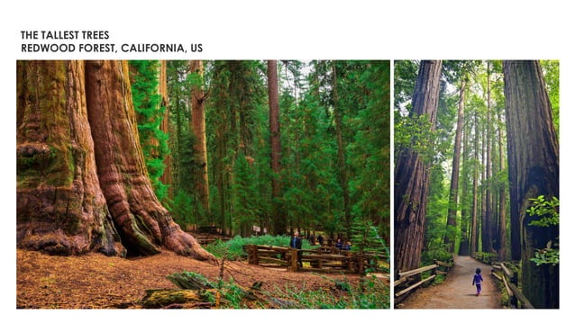 Landscape architecture : Natural and Man made | PDF