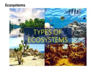landscape architecture -*** Introduction | PPTX
