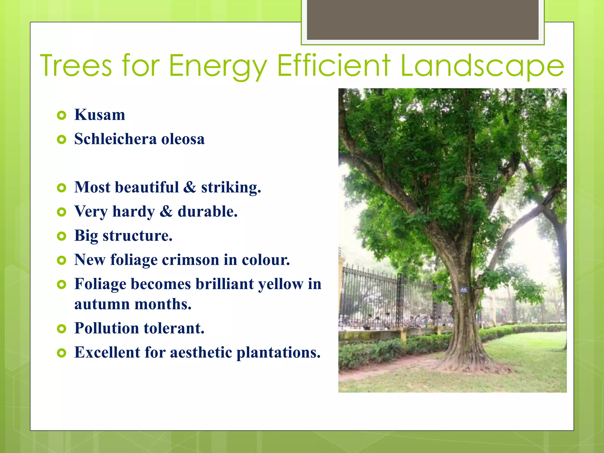 Landscape architecture energy efficient landscape lecture 8 | PDF