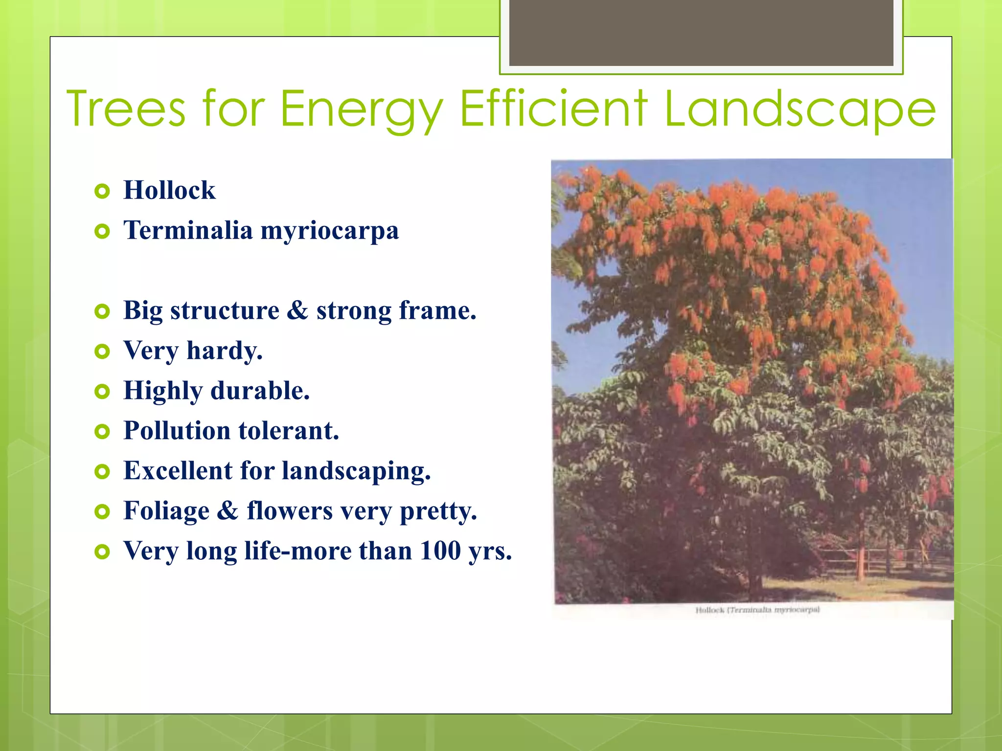 Landscape architecture energy efficient landscape lecture 8 | PDF