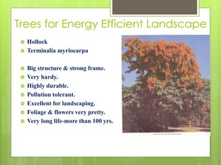 Landscape architecture energy efficient landscape lecture 8 | PDF