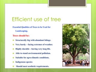 Landscape architecture energy efficient landscape lecture 8 | PDF
