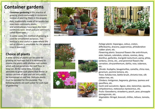 Landscape assignments | PDF | Gardening | Home & Garden