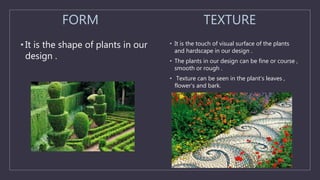 Landscape design | PPTX