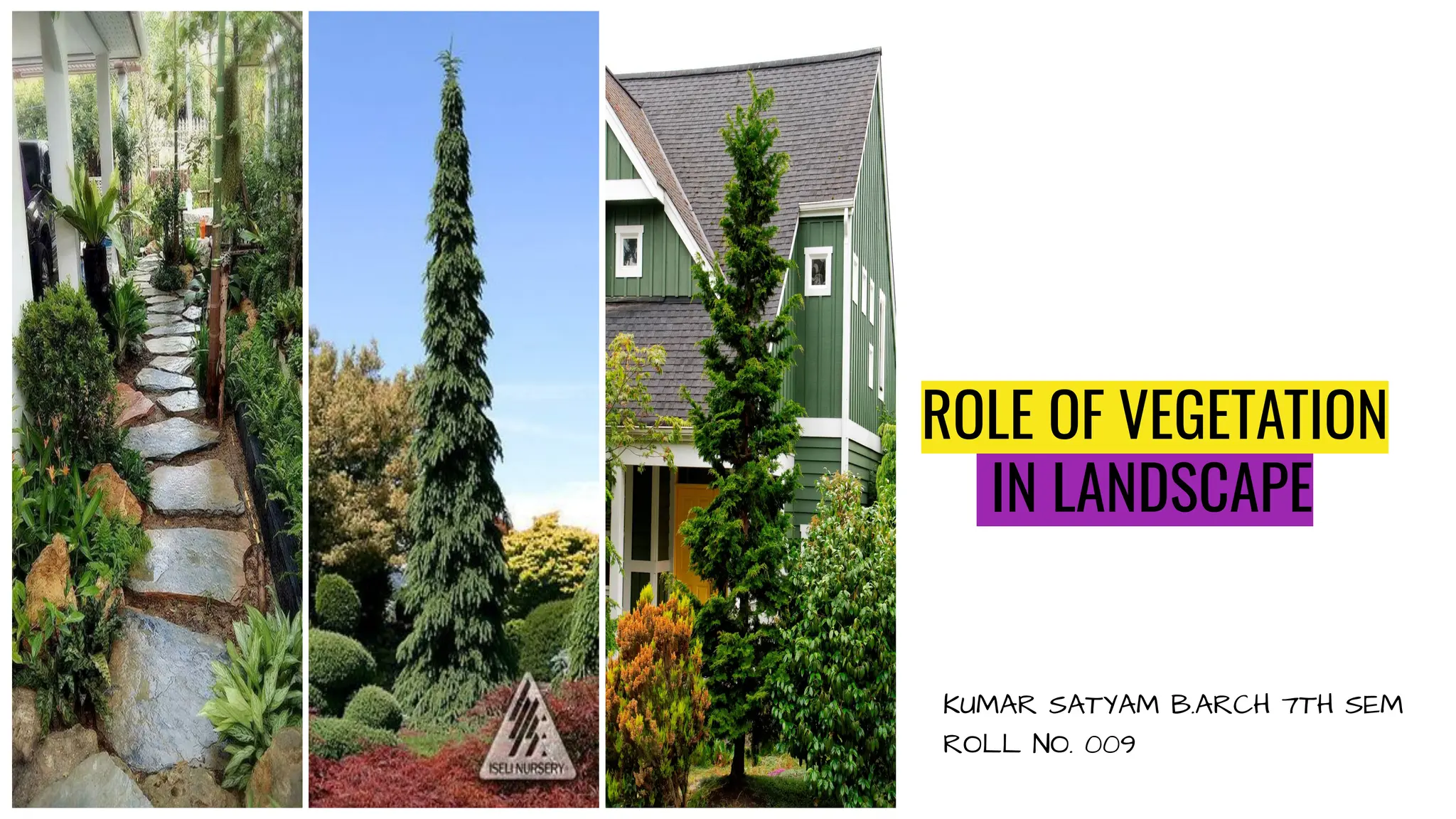 Role of vegetation in Landscape Design.. | PDF | Landscaping | Home ...