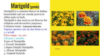 Role of vegetation in Landscape Design.. | PDF | Landscaping | Home ...