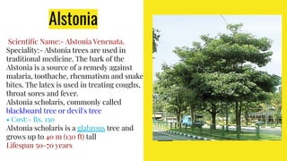 Role of vegetation in Landscape Design.. | PDF | Landscaping | Home ...