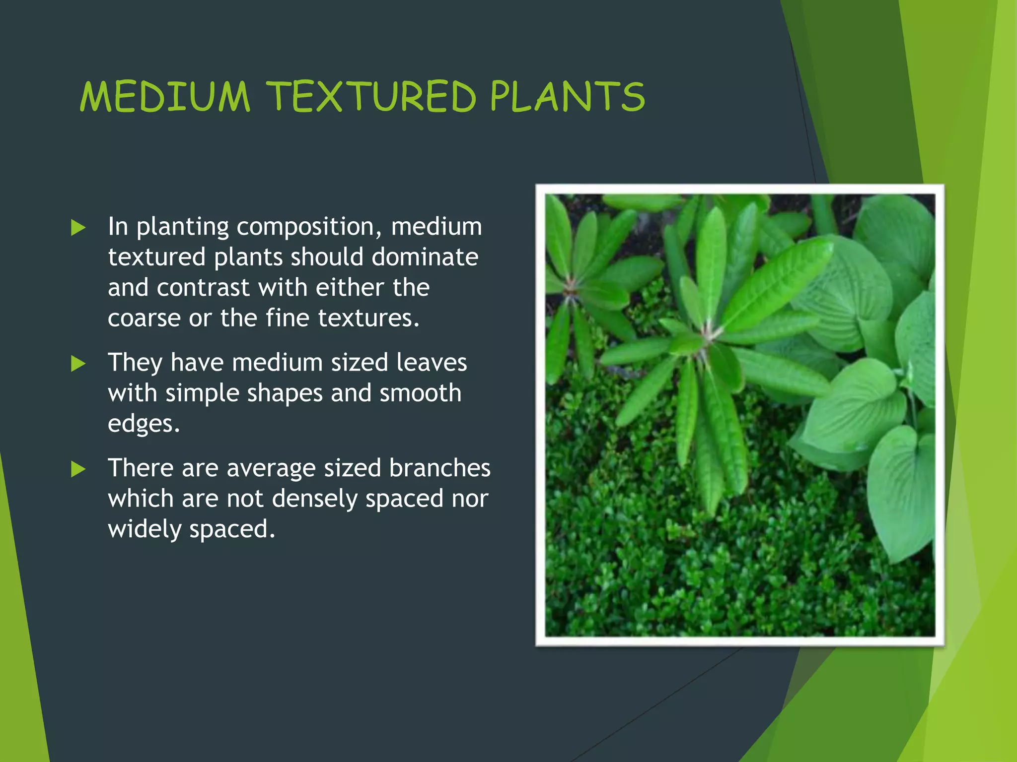 Landscape design | PPT