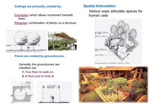 Landscape Design_part 1.pdf | Landscaping | Home & Garden