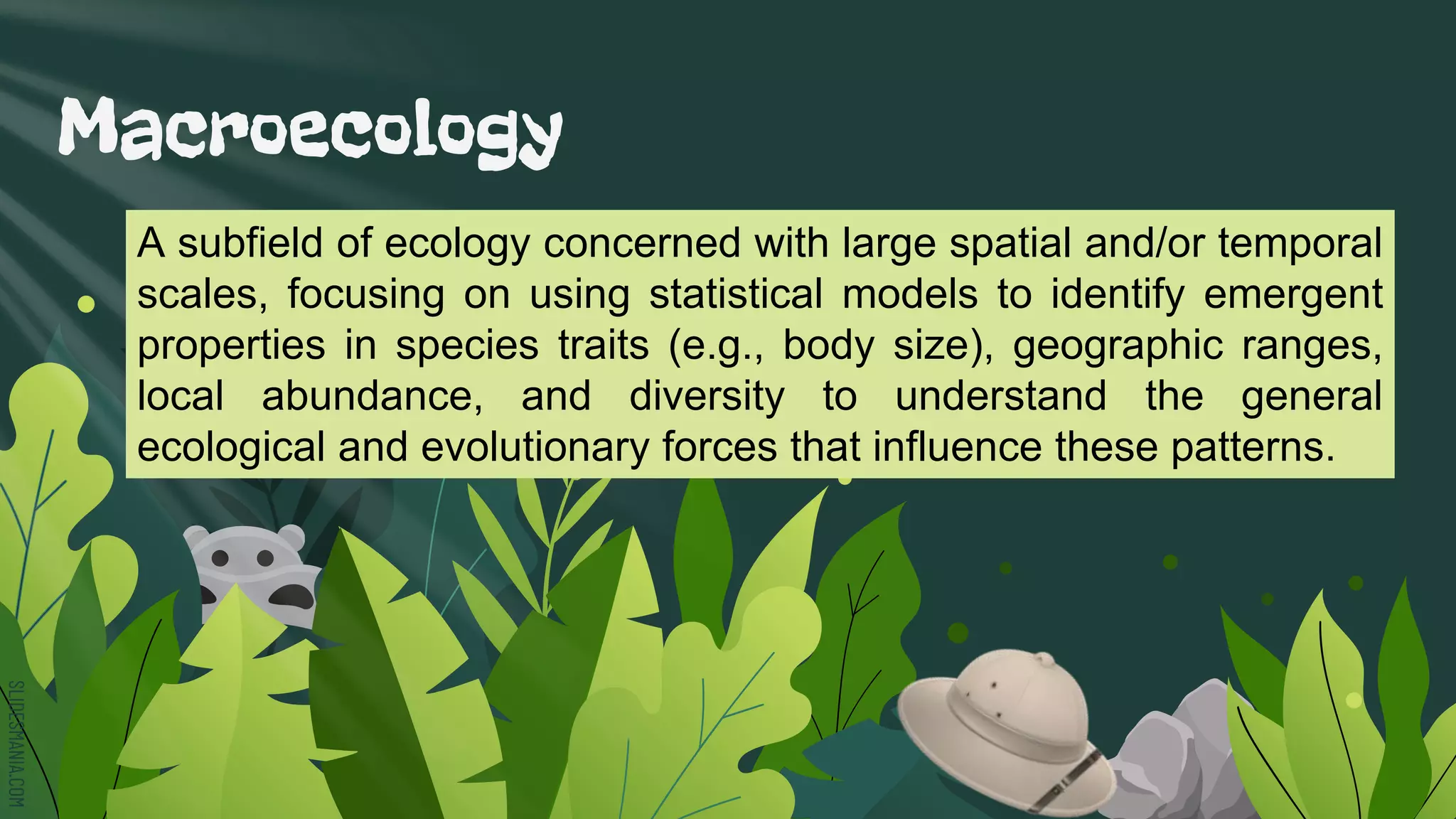 Landscape Ecology.pptx