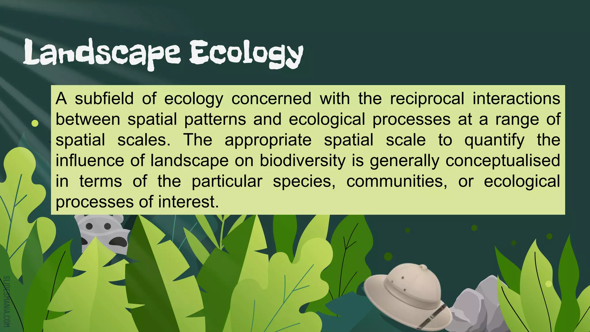 Landscape Ecology.pptx