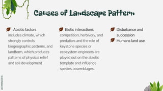 Landscape Ecology.pptx