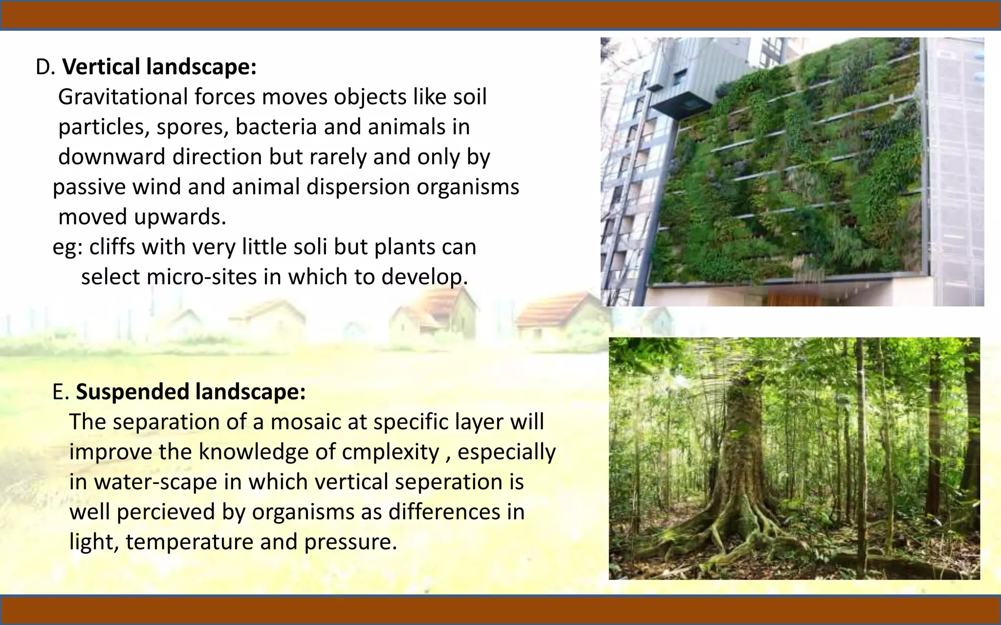 Landscape ecology (2013bpln010) | PPTX