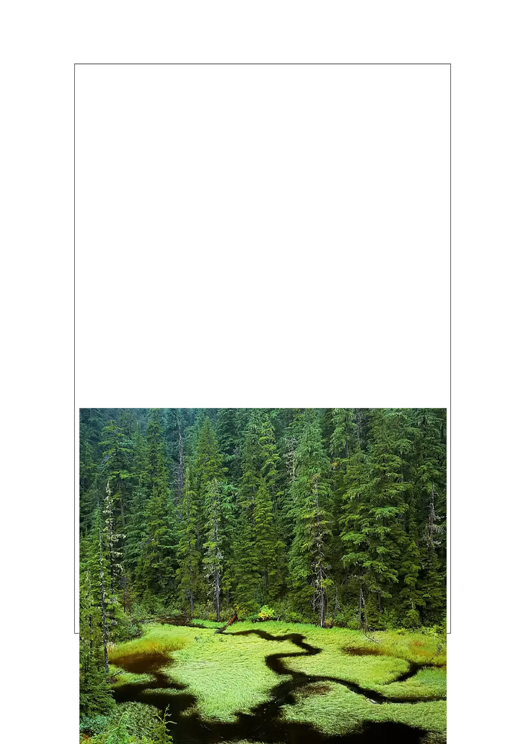 Landscape evaluation | DOC