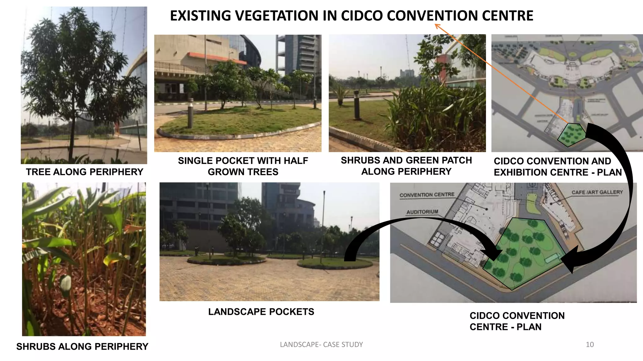 LANDSCAPE FOR INSTITUTION: CIDCO EXHIBITION CENTRE AND CHRISTCHURCH ...