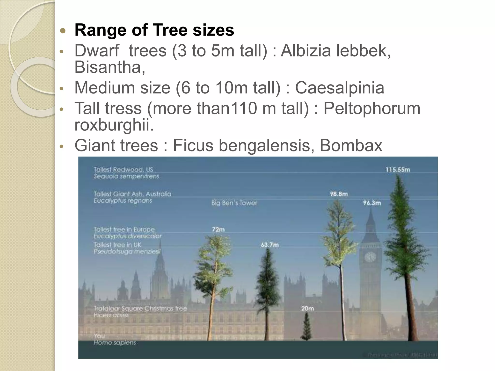 Landscape and its application in architecural design | PPTX