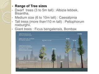 Landscape and its application in architecural design | PPTX