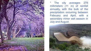 Short pwp slides about Saudi Arabia | PPTX